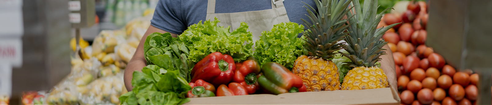 AgVantage Software, Inc.